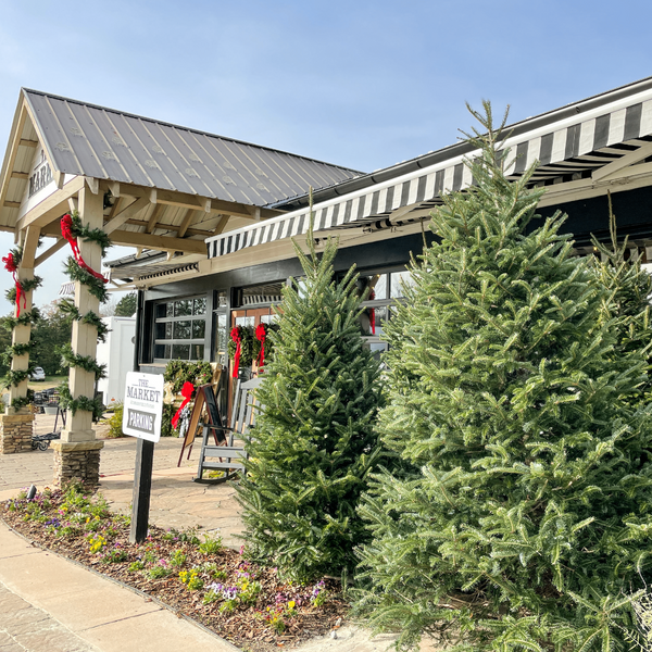 2025 Christmas Tree - The Market at Summerfield Farms
