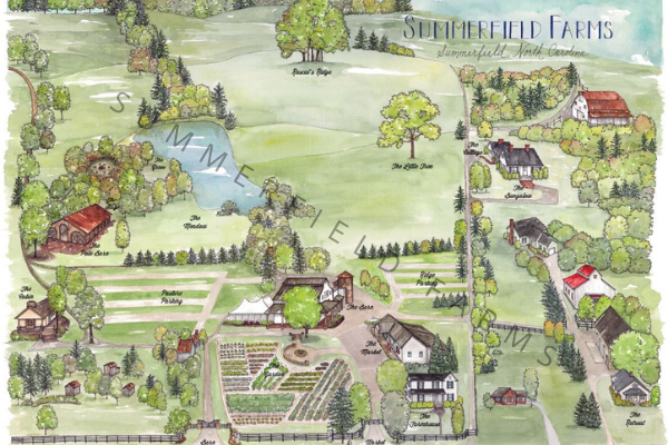 Map Print 16x20 - The Market at Summerfield Farms
